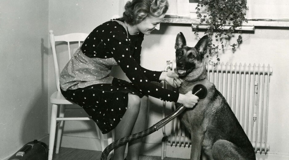 Vacuum cleaner model Z 30 – Electrolux Group